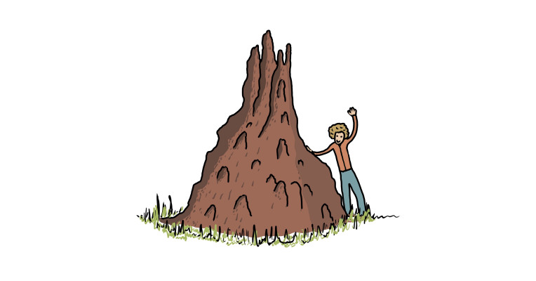 Create an invention using things found in nature to help nature ...